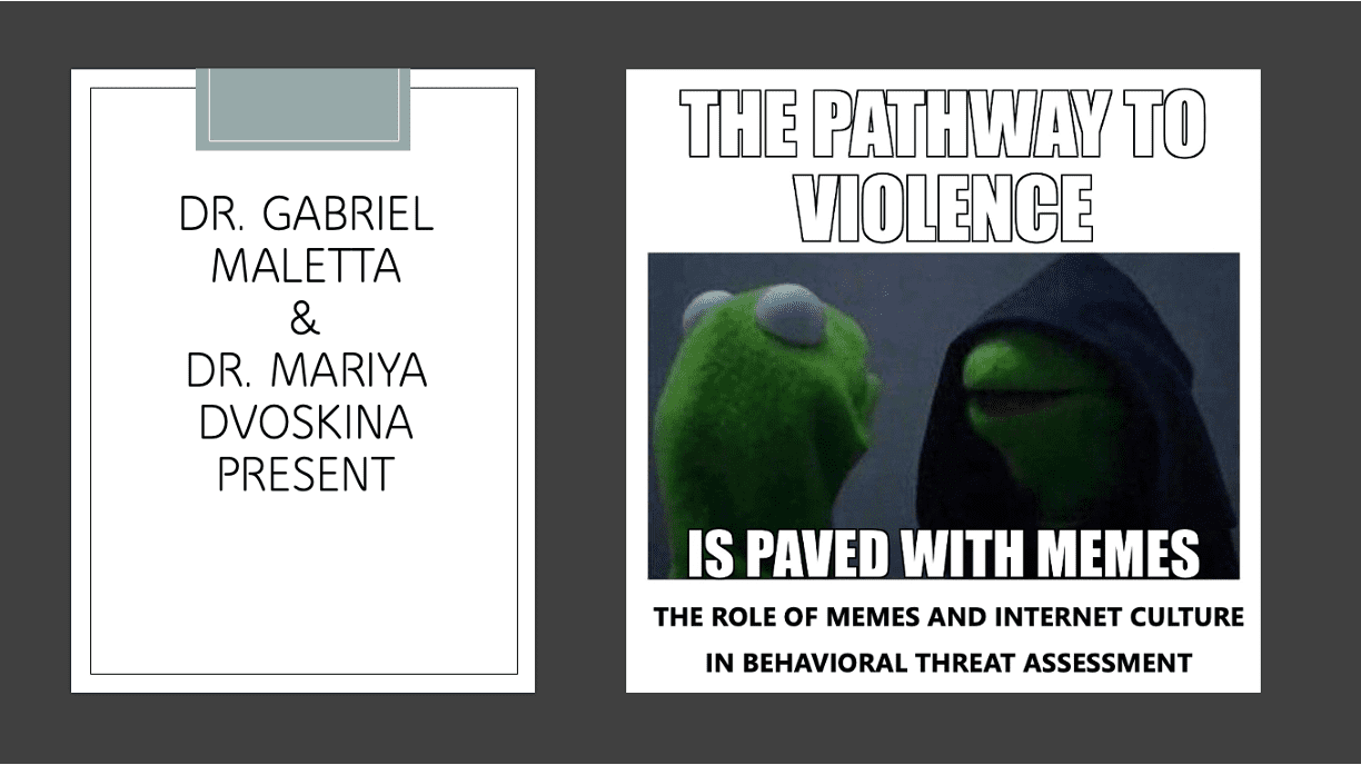 The Pathway to Violence is Paved with Memes: The Role of Memes and ...